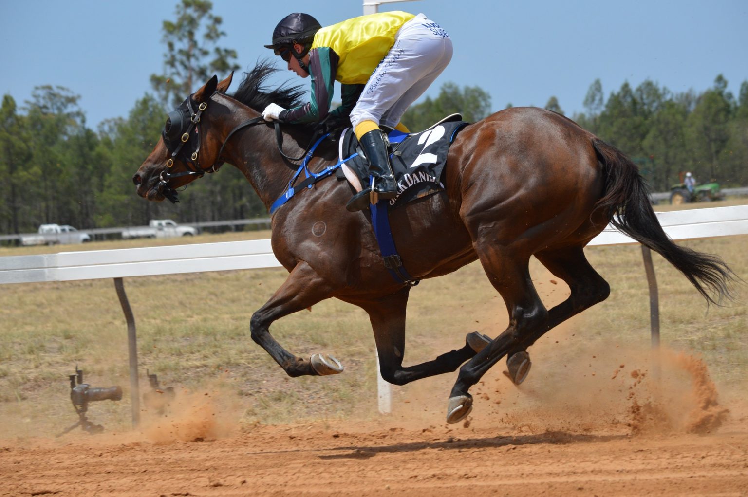 The Different Events That Characterise Endurance Horse Racing